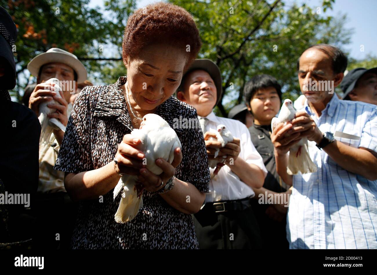 World war ii animal hi-res stock photography and images - Alamy