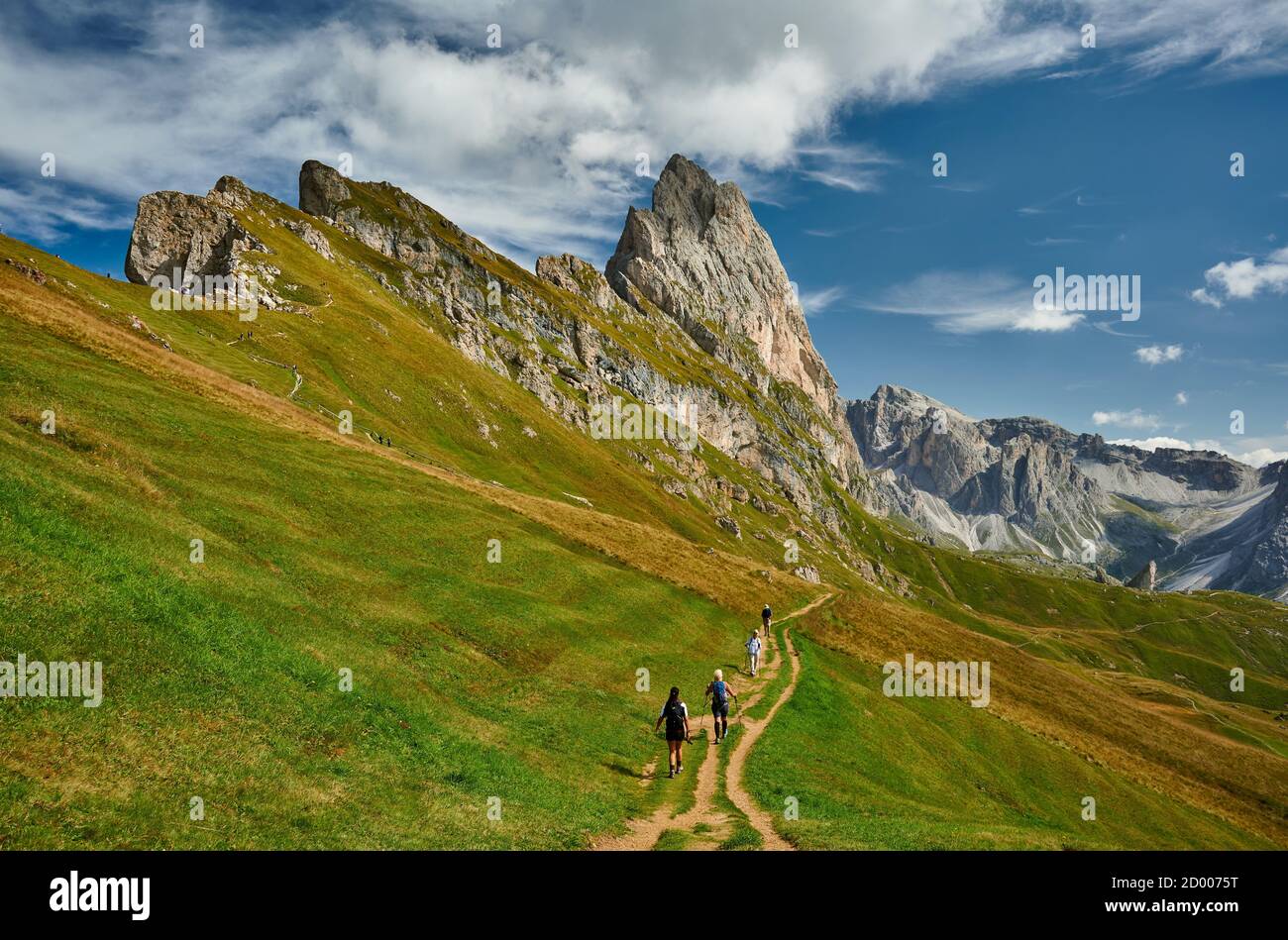 Seceda, nature park Puez-Geisler, St. Ulrich, South Tyrol, Italy Stock ...