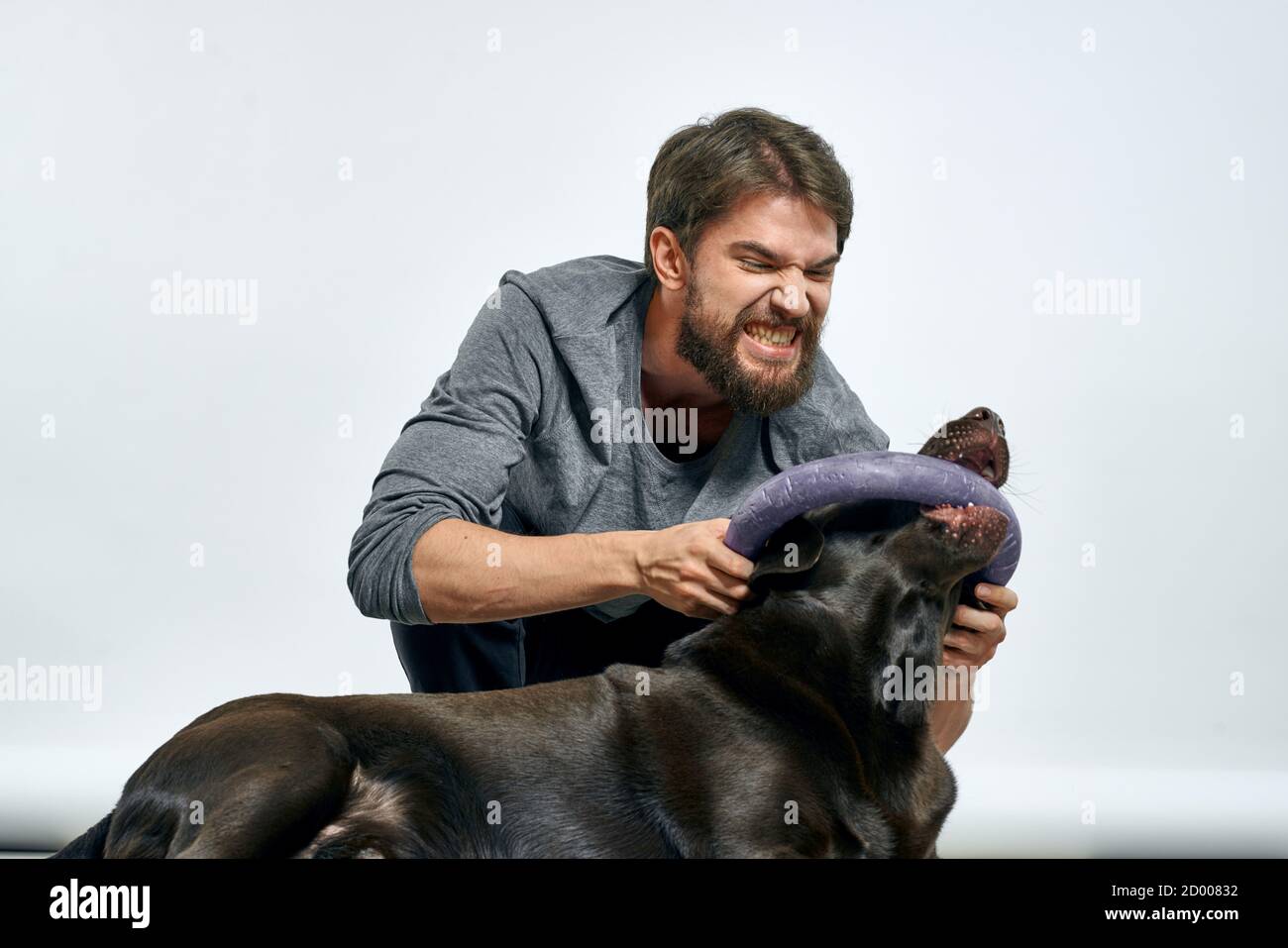 happy owner with pet black dog training model emotions Stock Photo - Alamy