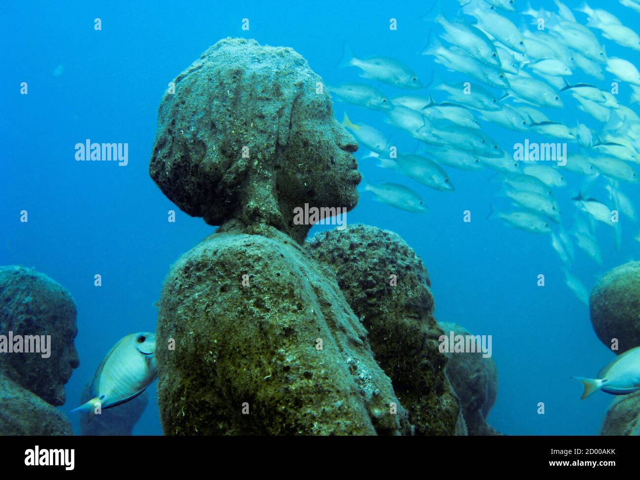 The silent evolution sculpture hi-res stock photography and images - Alamy