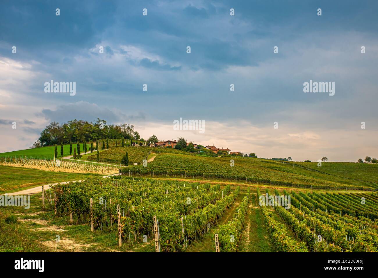 The Langhe are a geographical territory or sub-area of lower Piedmont ...