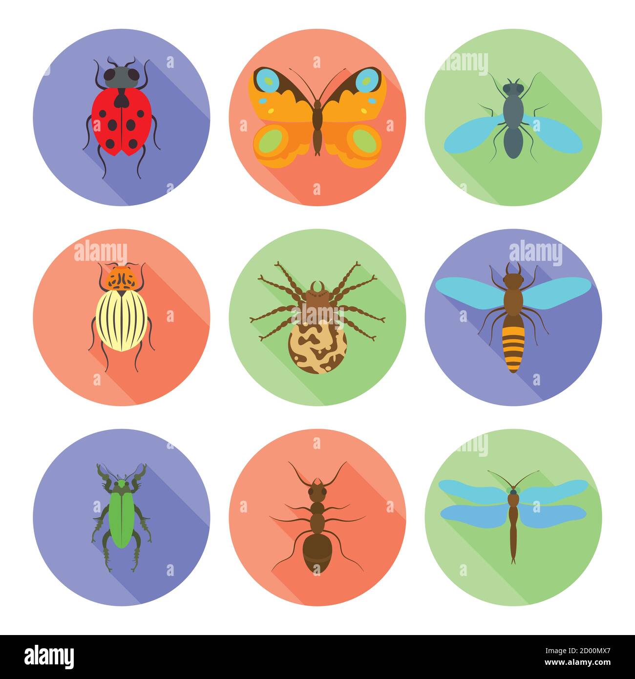 Insects icons vector flat style isolated on white background Stock ...