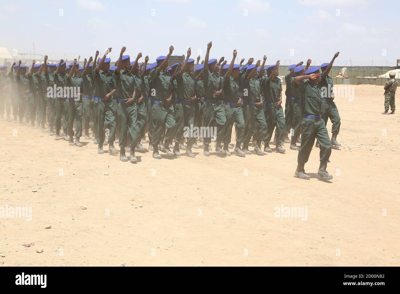 Police Pass Out Parade High Resolution Stock Photography and Images - Alamy