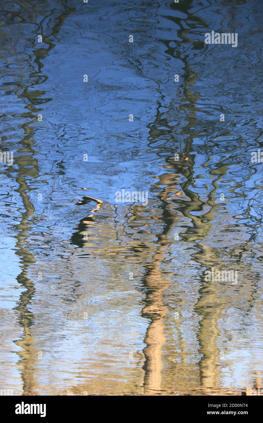 Portrait image of vivid trees wavy reflection on a river Stock Photo ...