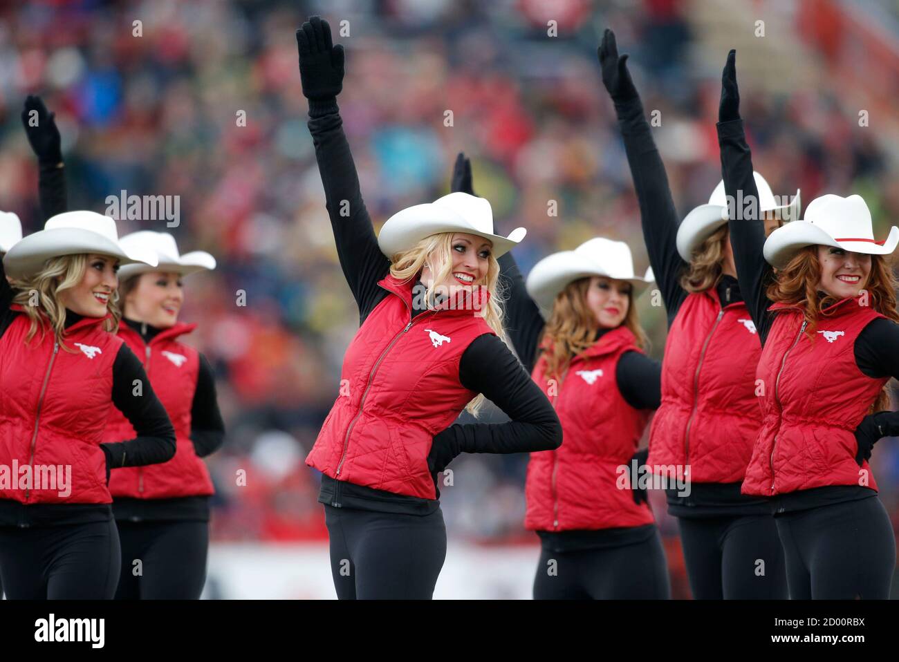 Cfl cheerleaders hi-res stock photography and images - Alamy