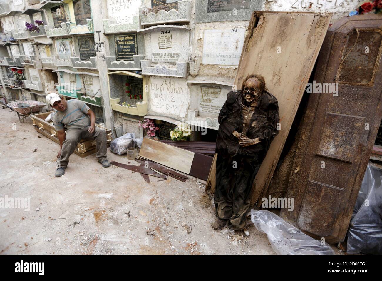 Become dry and decompose hi-res stock photography and images - Alamy