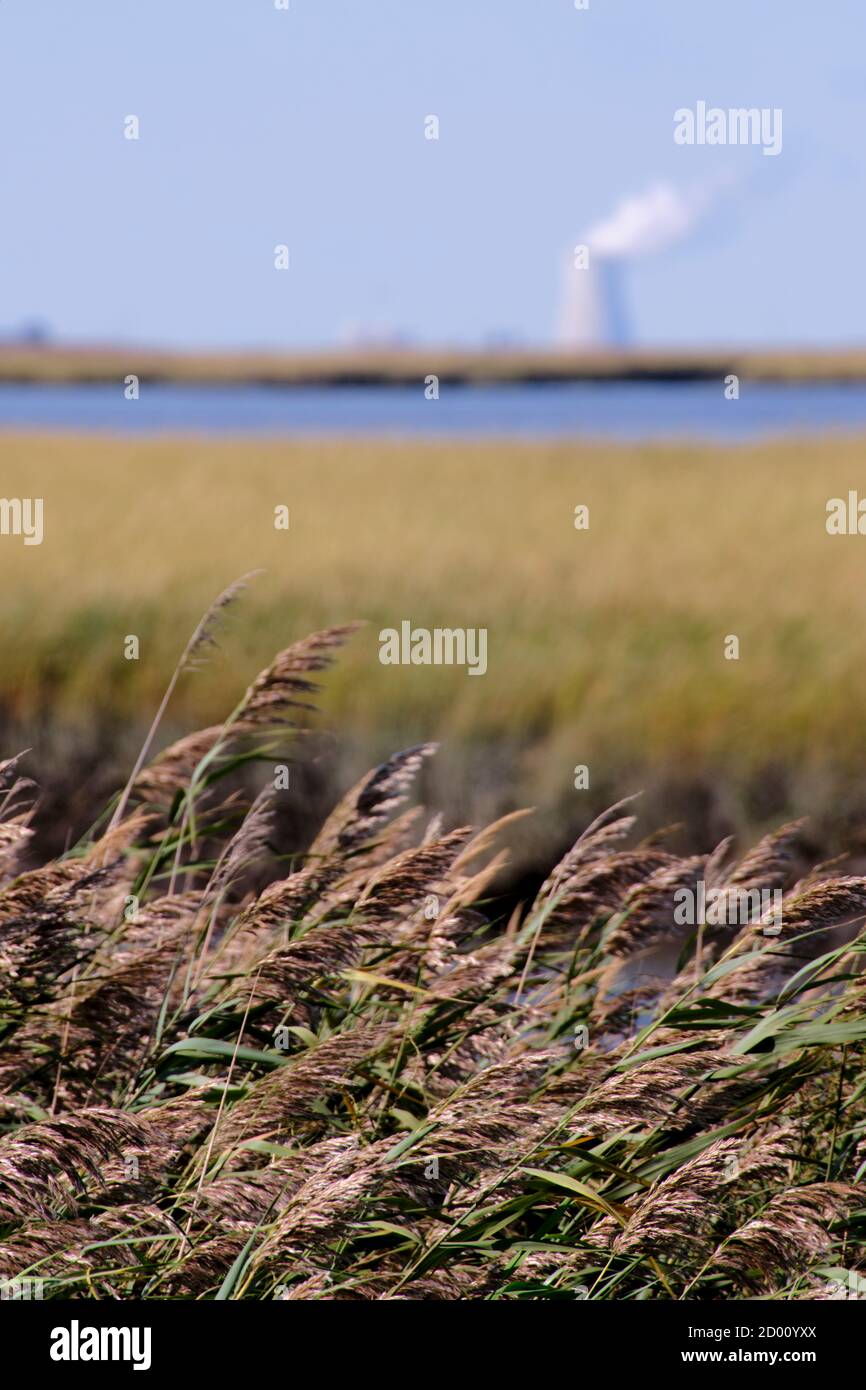 A power plant cooling tower is seen in the distance from the salt ...