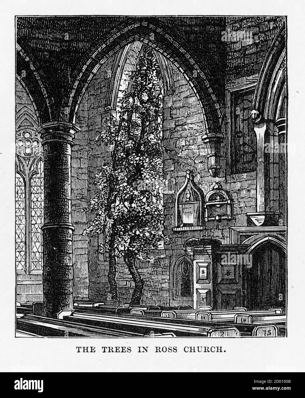Very Rare, Beautifully Illustrated Antique Engraving of Victorian ...