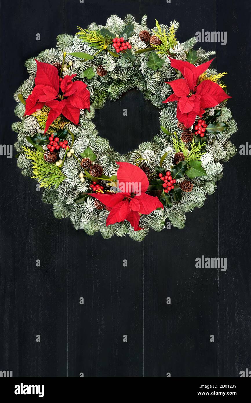 Poinsettia flower Thanksgiving & Christmas wreath with snow covered fir ...