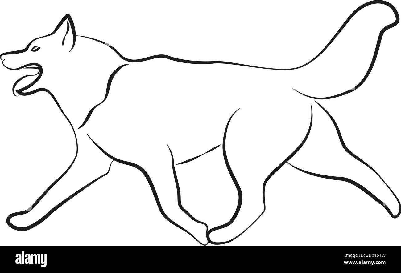 Simple Husky Drawing