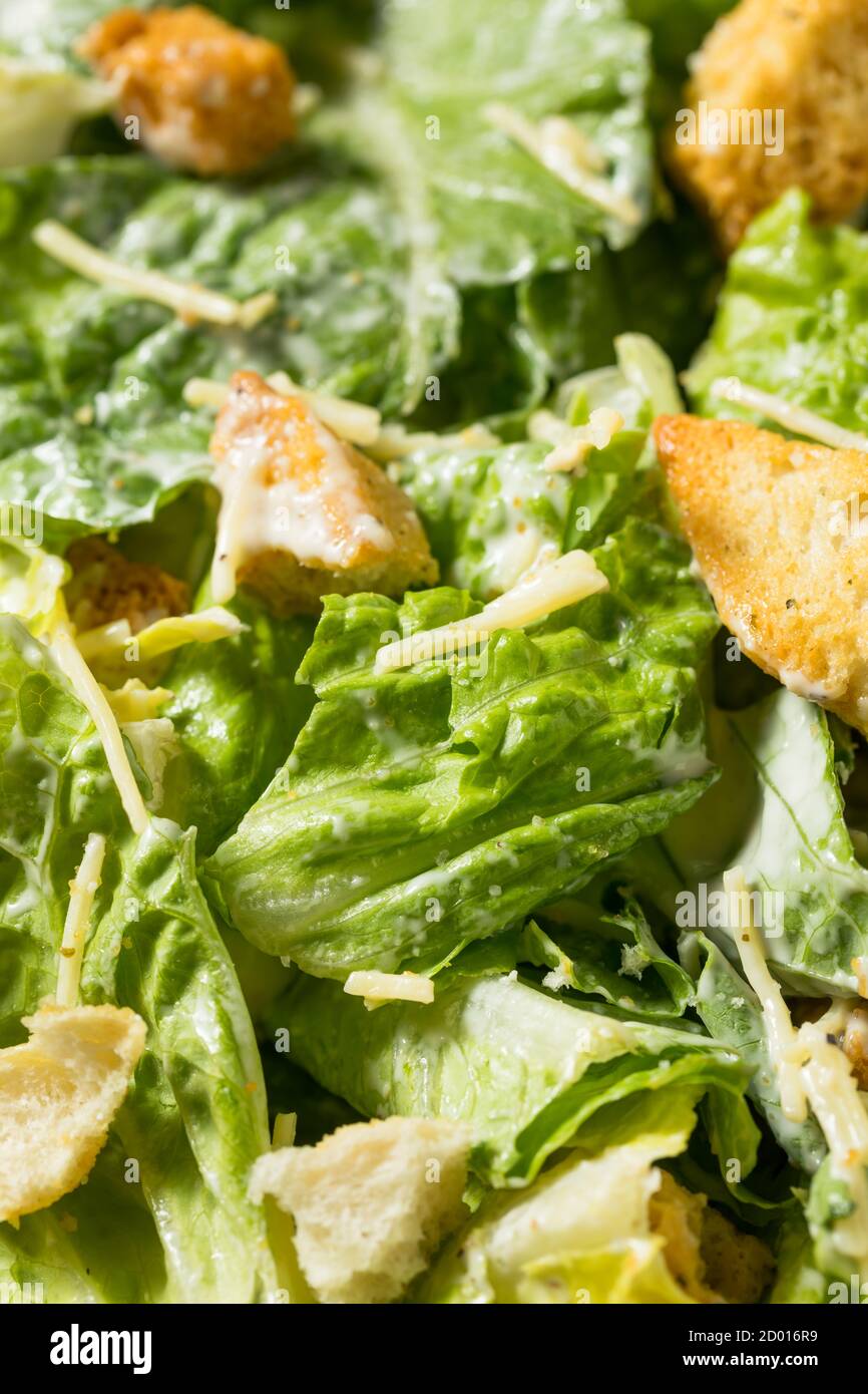Homemade Healthy Romaine Caesar Salad with Dressing and Croutons Stock ...