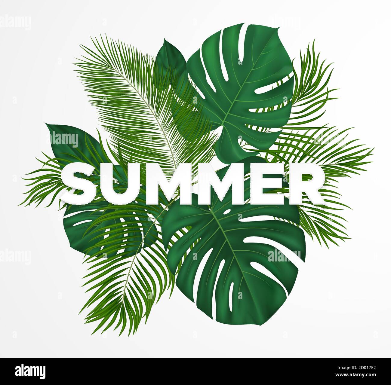 Summer tropical design with various green leaves. Vector plant ...