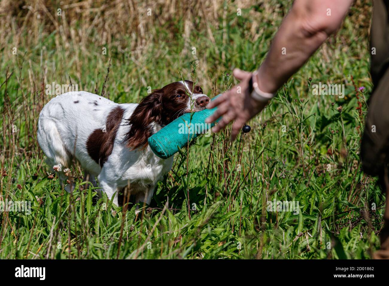 Basc training hi-res stock photography and images - Alamy