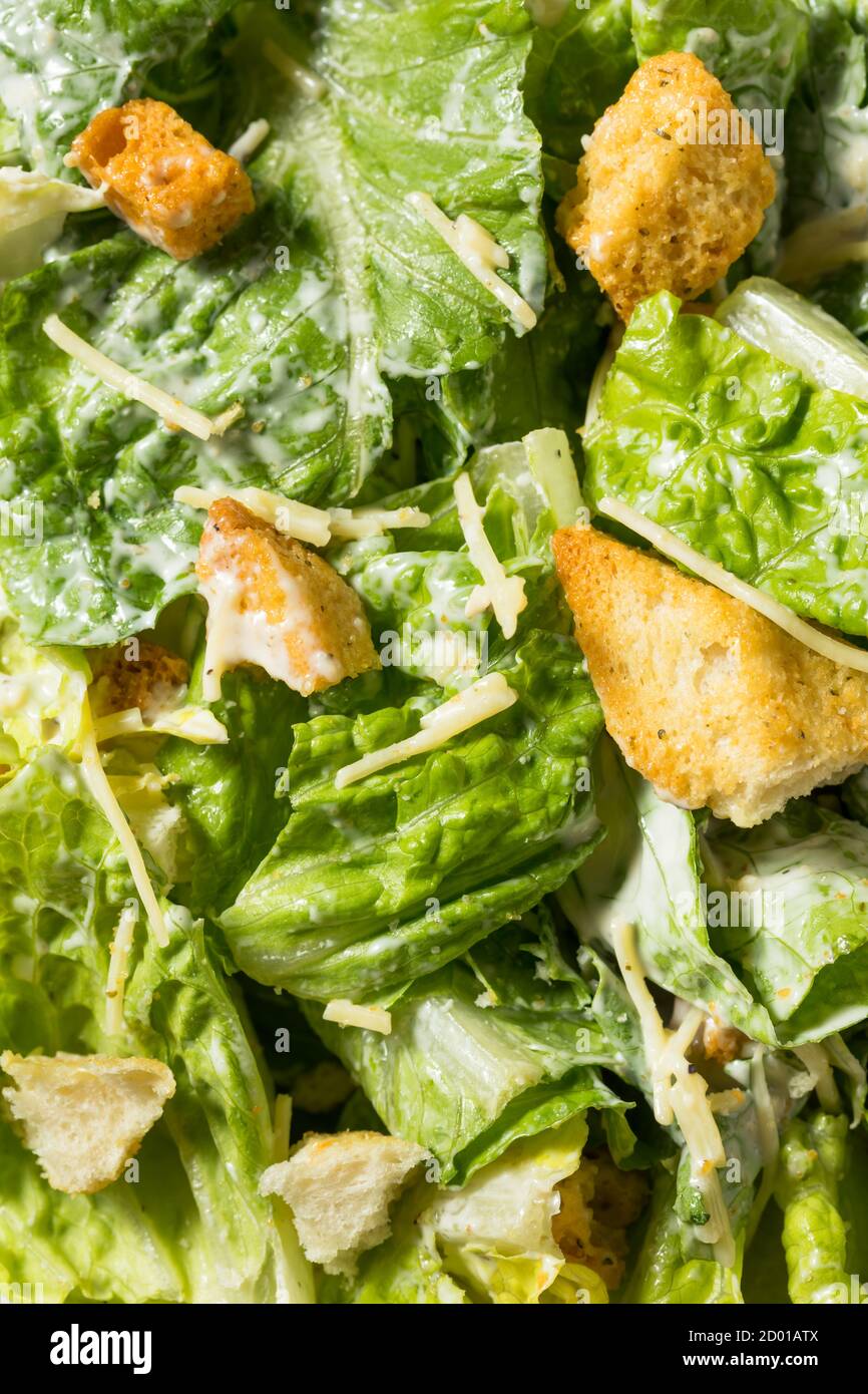 Homemade Healthy Romaine Caesar Salad with Dressing and Croutons Stock ...