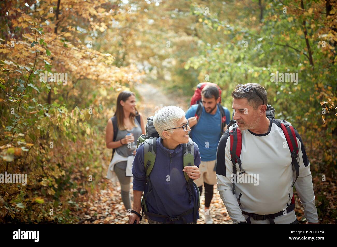 Family trekking in the woods; Quality family time concept Stock Photo ...