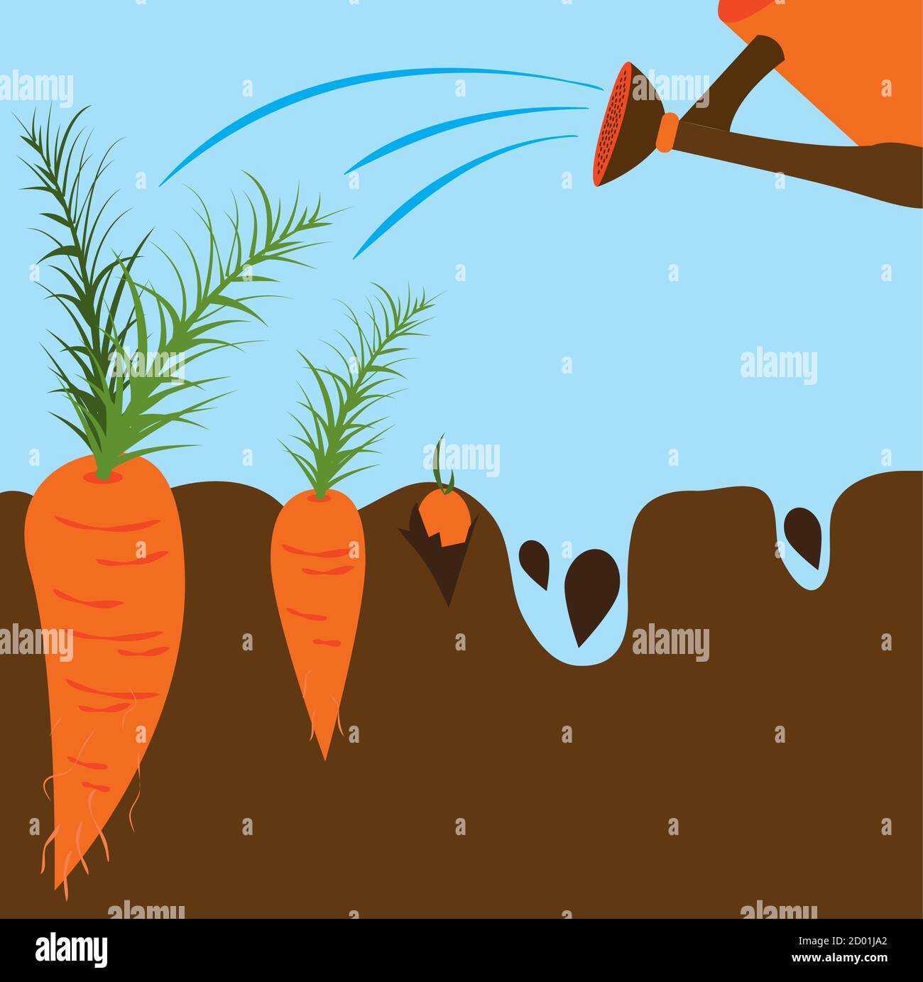 Plant growth stages. Vector illustration Stock Vector Image & Art - Alamy