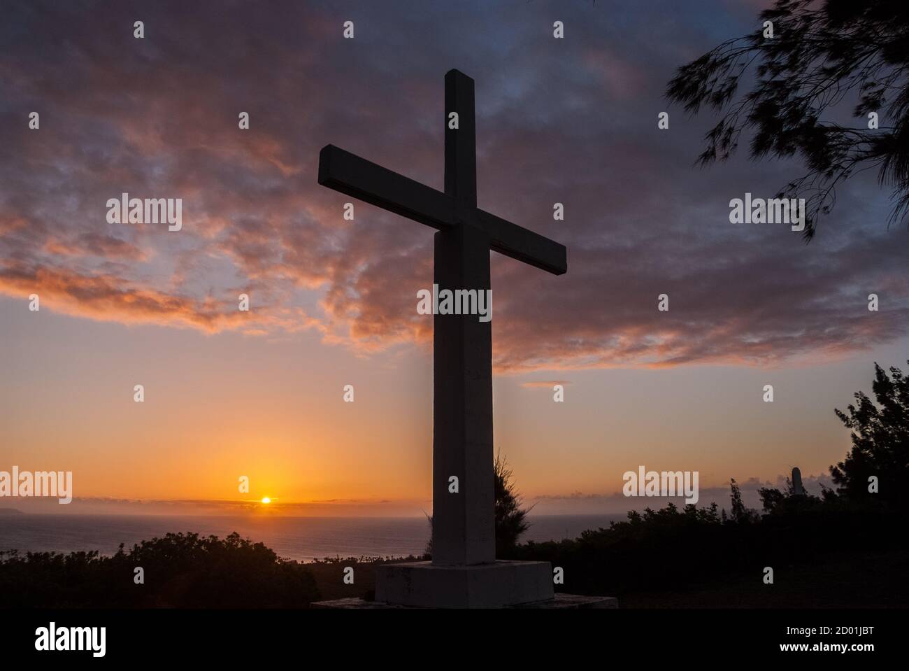 Cross of trees hi-res stock photography and images - Alamy