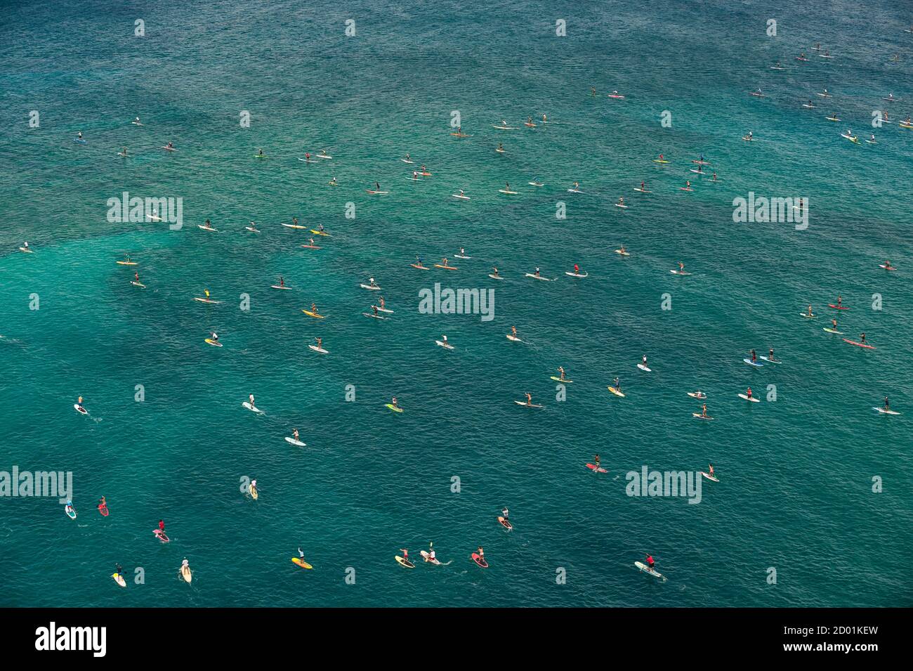Stand up paddle race Stock Photo - Alamy
