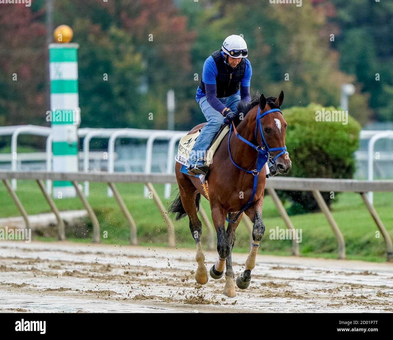 Baltimore, MD, USA. 2nd Oct, 2020. October 2, 2020: Mr. Big News ...