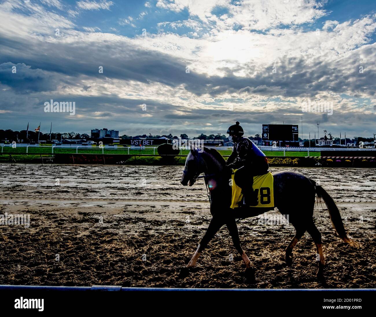 Baltimore, MD, USA. 2nd Oct, 2020. October 2, 2020: Horses exercise ...