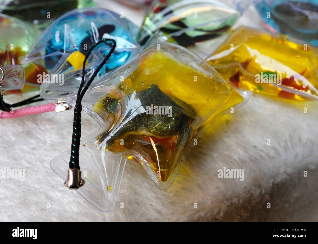 Good luck bag hi-res stock photography and images - Alamy