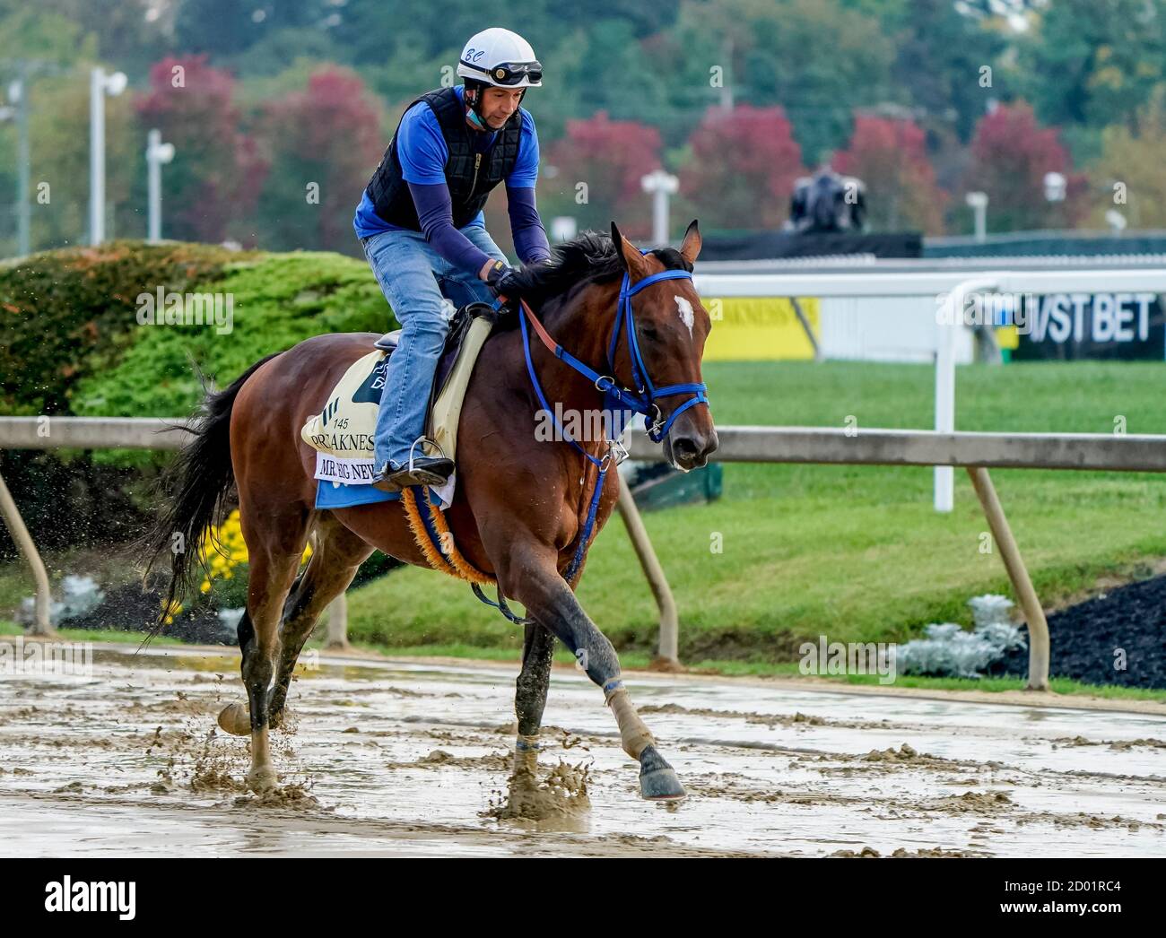 20201002 hi-res stock photography and images - Alamy