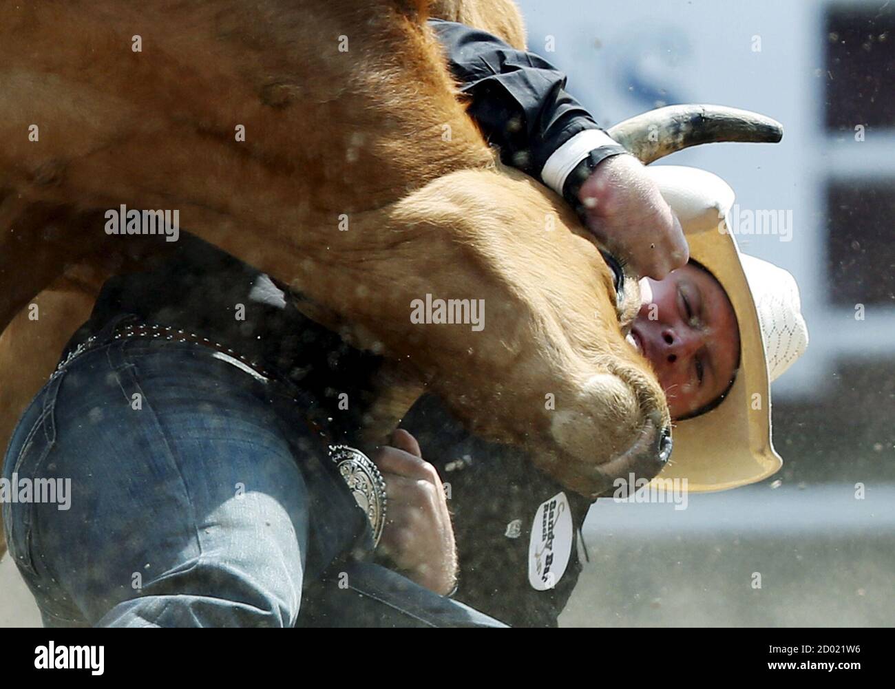 Aneroid saskatchewan hi-res stock photography and images - Alamy