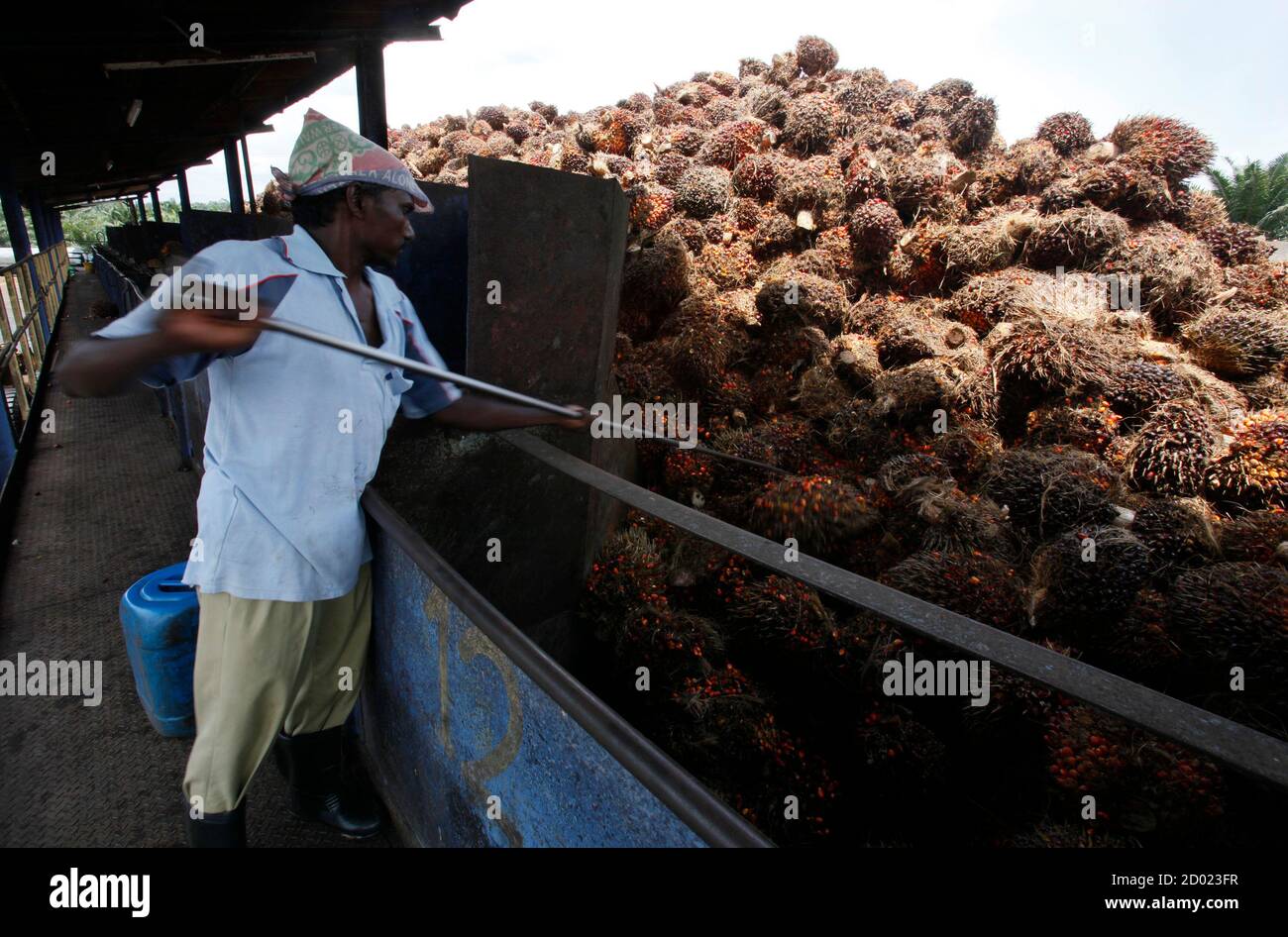Palm Oil Factory High Resolution Stock Photography and Images - Alamy