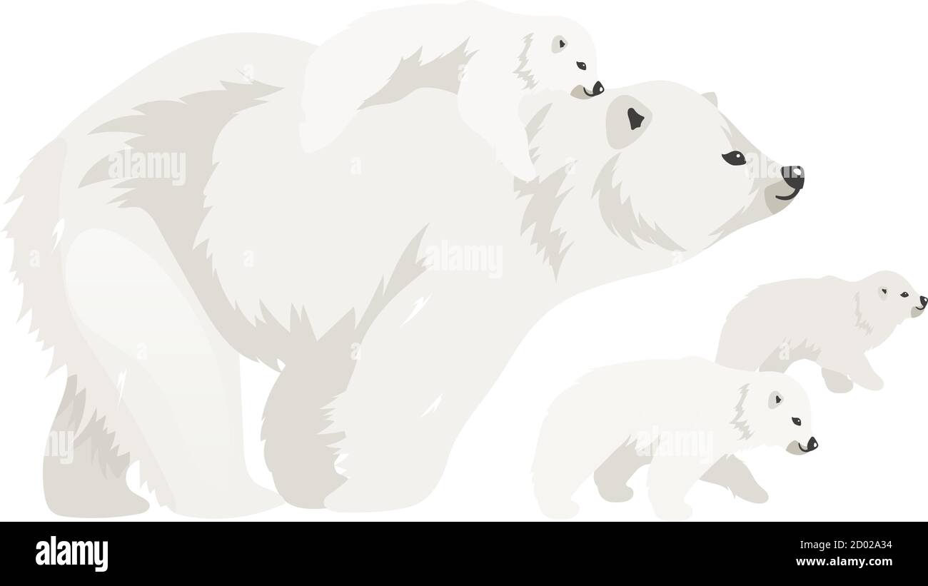 Polar bear family flat color vector illustration. Northern wild adult ...