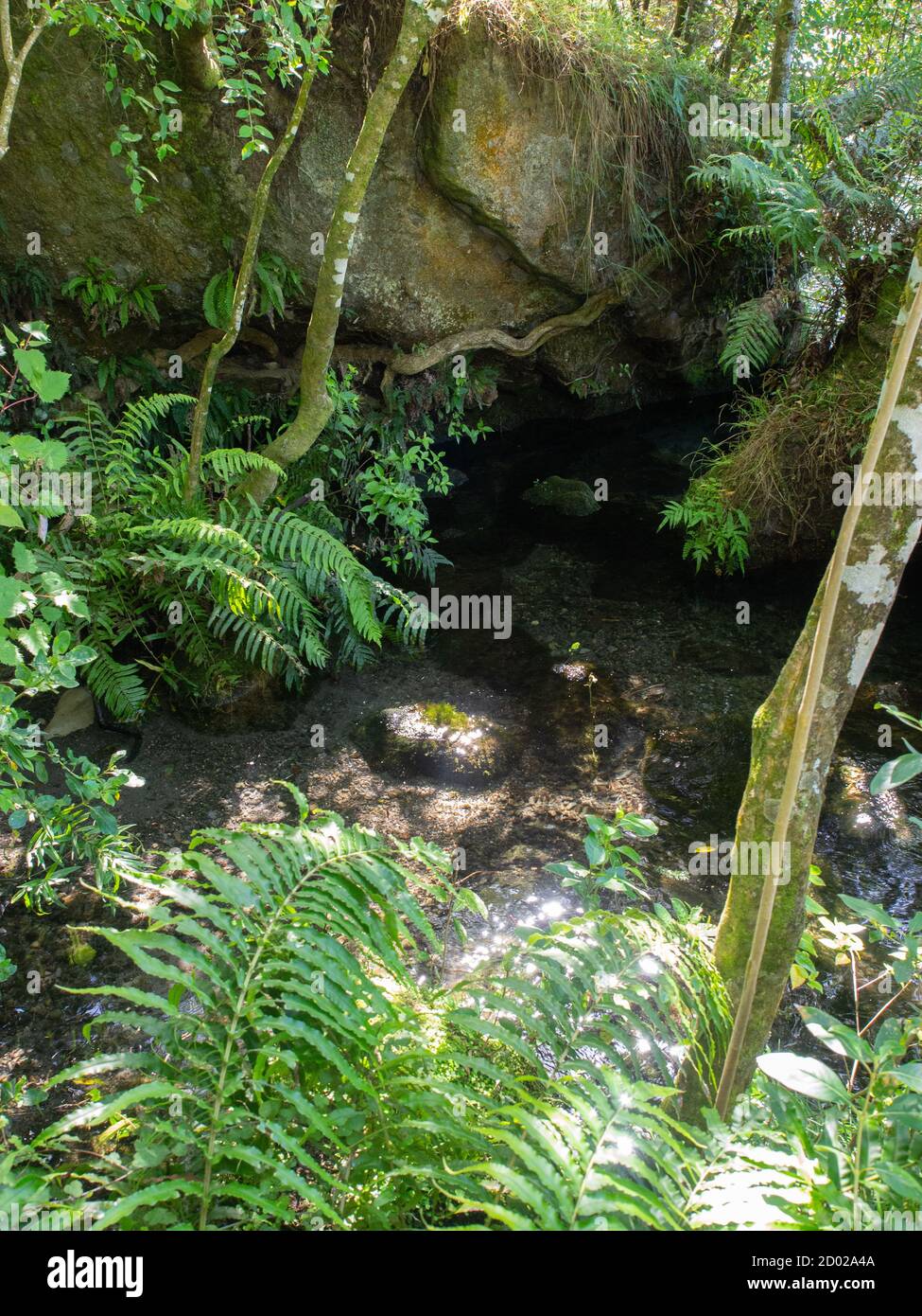 Stream of rocks hi-res stock photography and images - Alamy