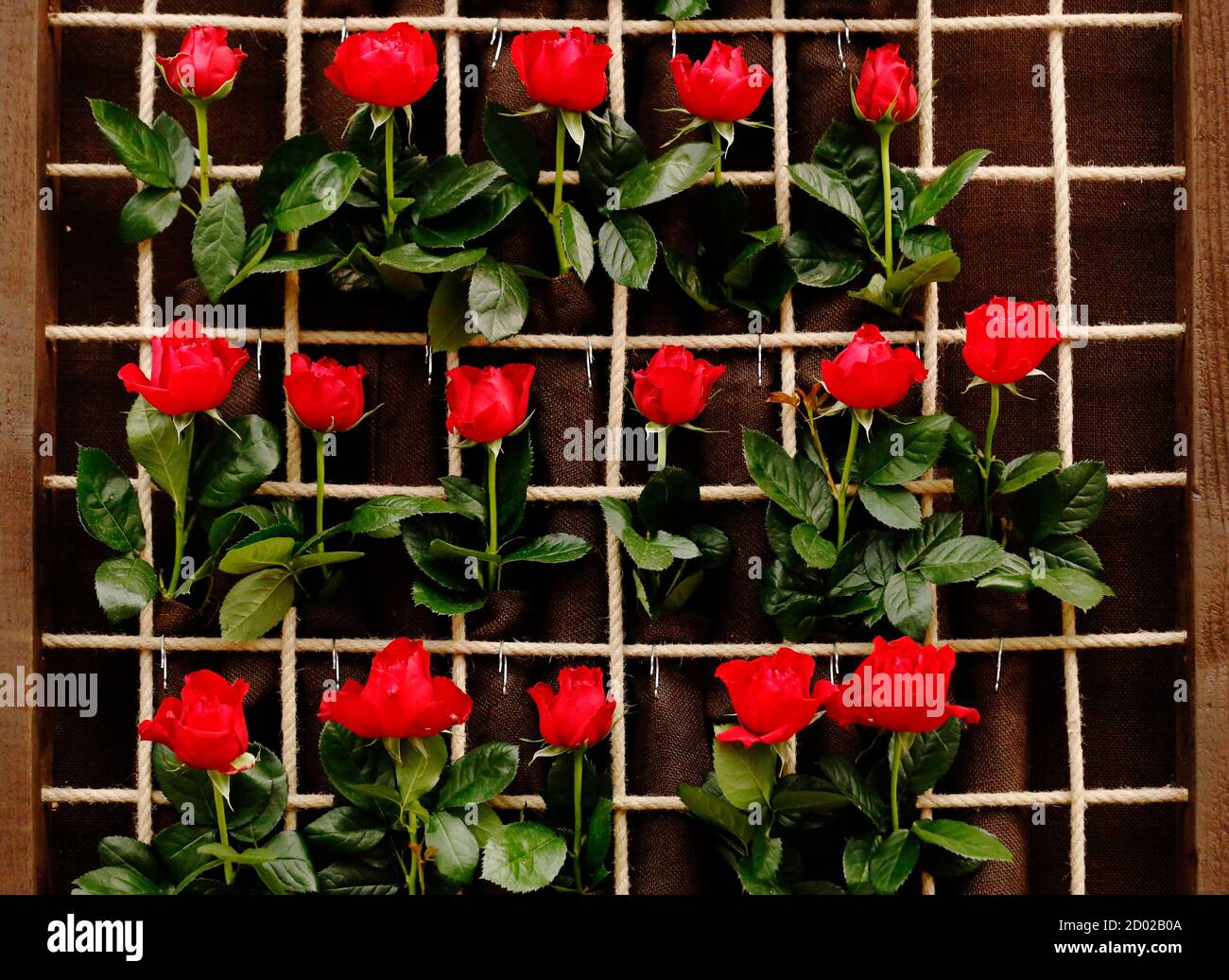 Harmanna hi-res stock photography and images - Alamy