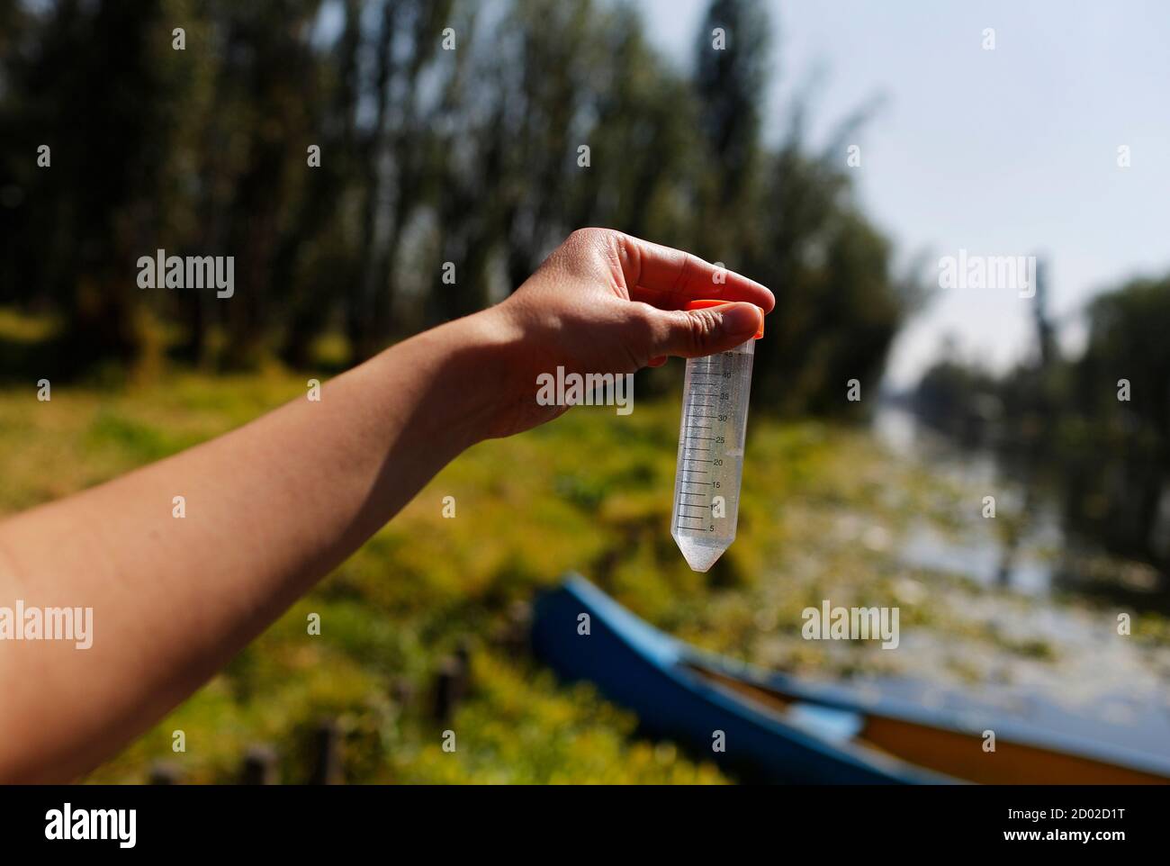 Axolotl xochimilco hi-res stock photography and images - Alamy