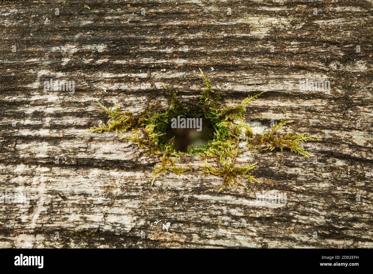Sostenibility hi-res stock photography and images - Alamy