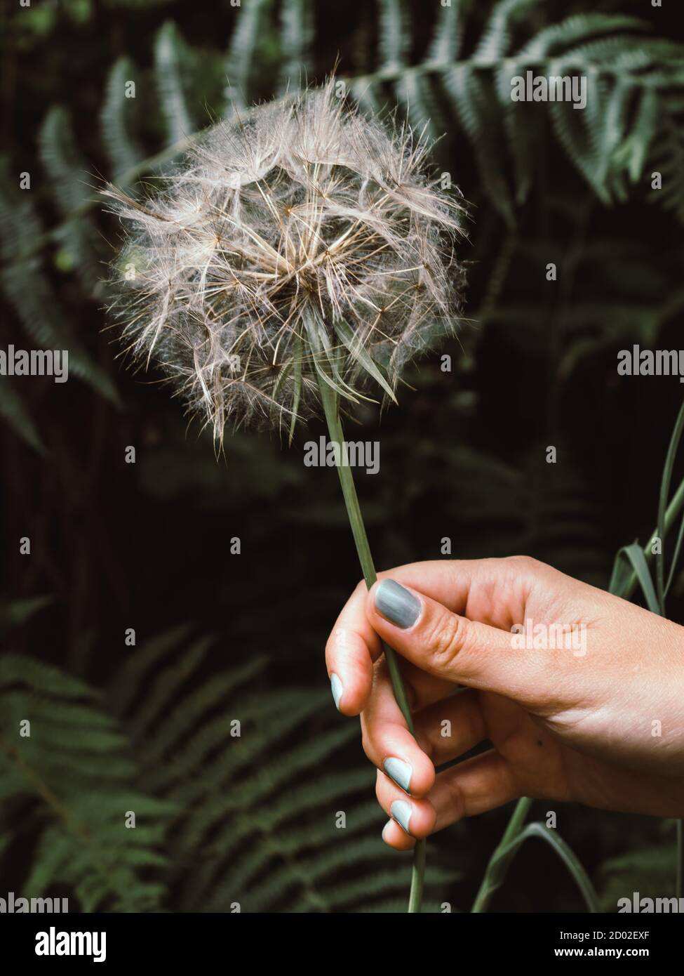 Girl holding spring poster hi-res stock photography and images - Alamy