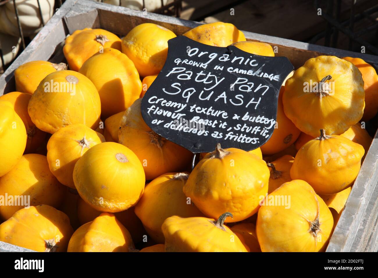 Patty green tint hi-res stock photography and images - Alamy