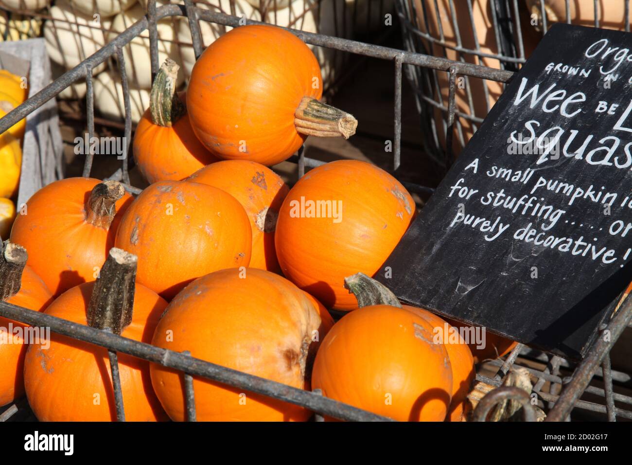 Wee Garden High Resolution Stock Photography and Images - Alamy