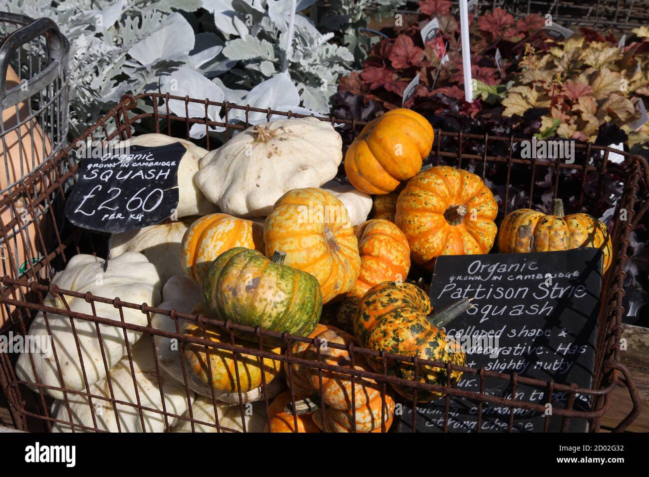 Wafer basket hi-res stock photography and images - Alamy