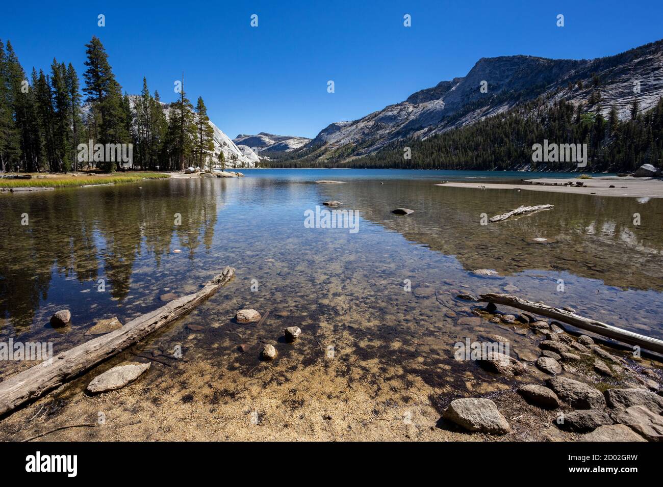 Tenaya Lake, Yosemite National Park, California Stock Photo - Alamy