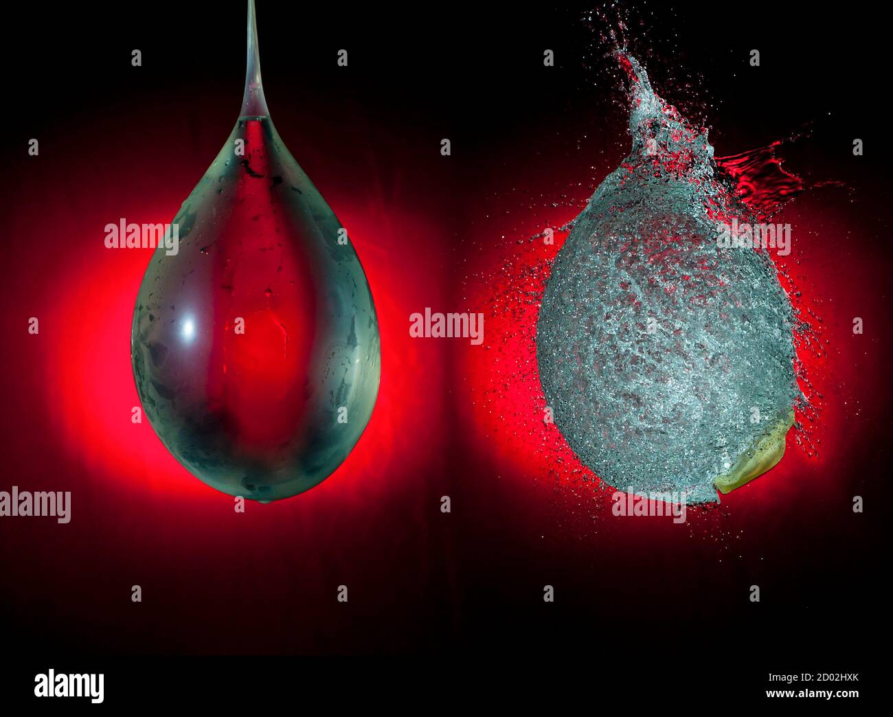 The balloon full of water is frozen before and in the moment of its ...