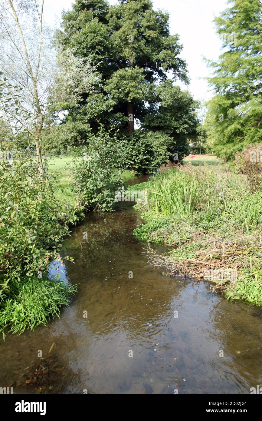 The River Tillingbourne flowing through Abinger Hammer village green ...