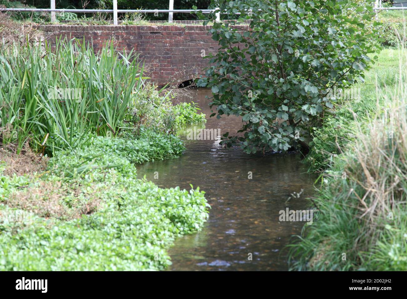 The River Tillingbourne flowing through Abinger Hammer village green ...