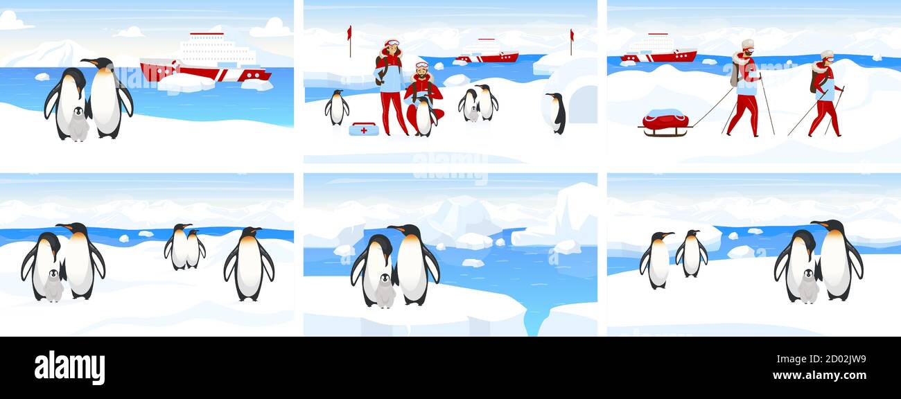 Antarctic expedition flat vector illustration. Emperor penguin colony ...