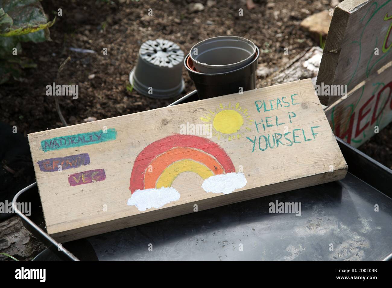 Community garden for growing and sharing naturally grown vegetables ...