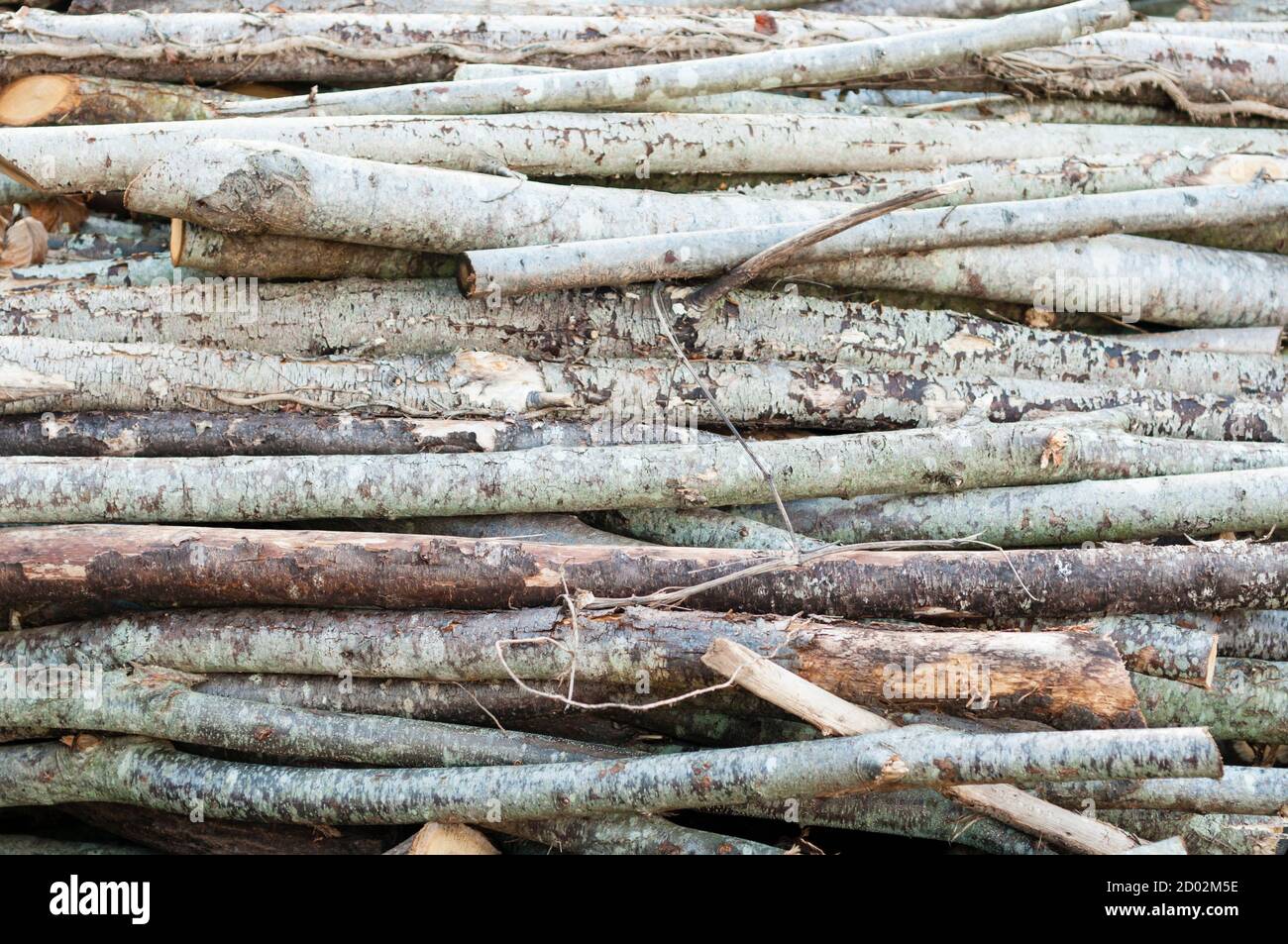 Stack of cut tree branches for home fireplace Stock Photo - Alamy