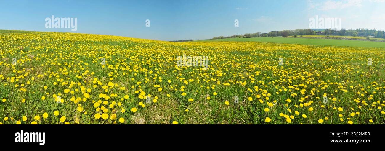 Beautiful spring panoramatic shot hi-res stock photography and images ...