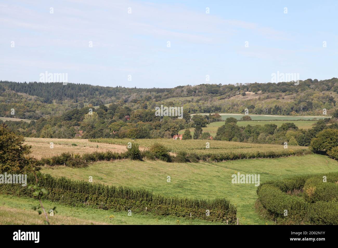 A beautiful view across the Surrey Hills from Abinger Hammer, a ...