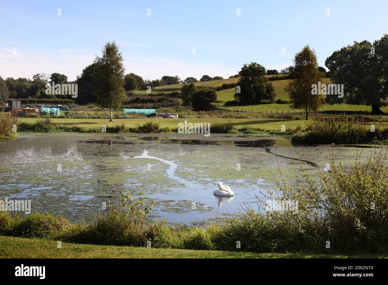 Kingfisher farm abinger hi-res stock photography and images - Alamy