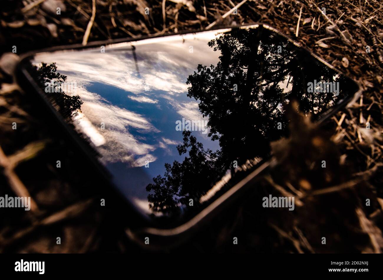 Closeup shot of trees reflection on a smartphone screen Stock Photo - Alamy