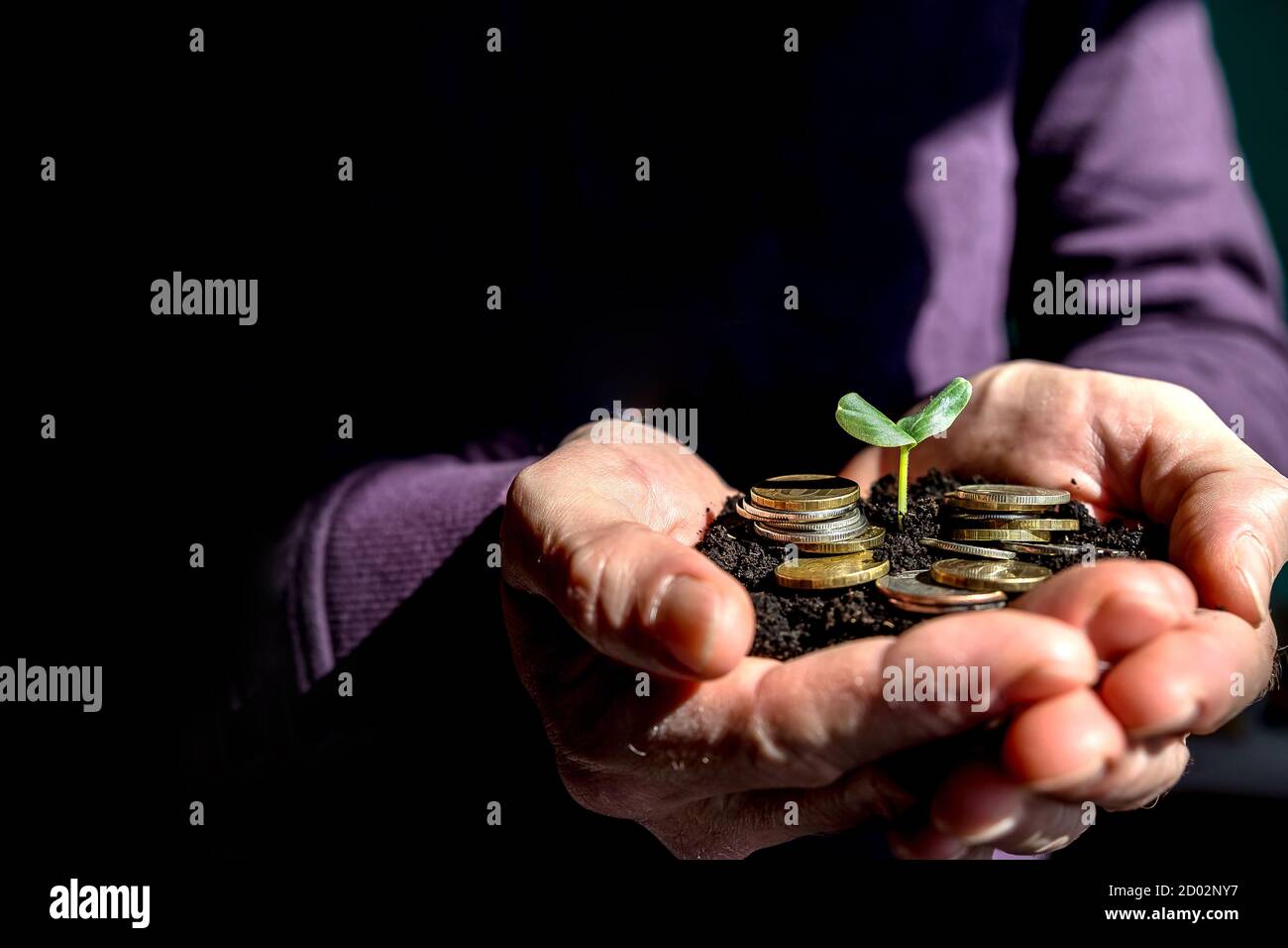 Man hands with sprout in palms.Saving money for growing business and ...