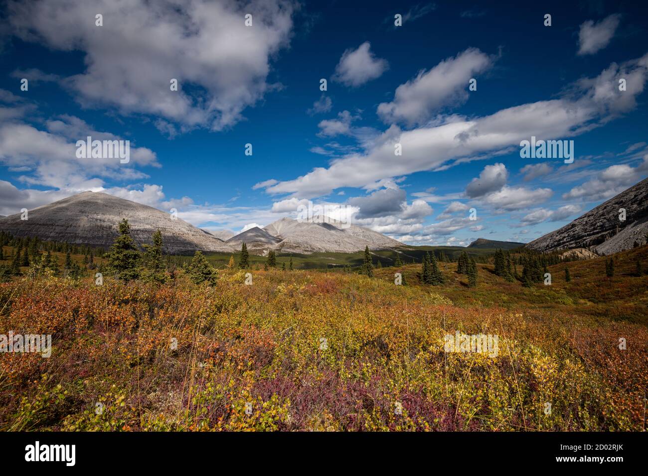 Early fall in the Canadian alpine Stock Photo - Alamy